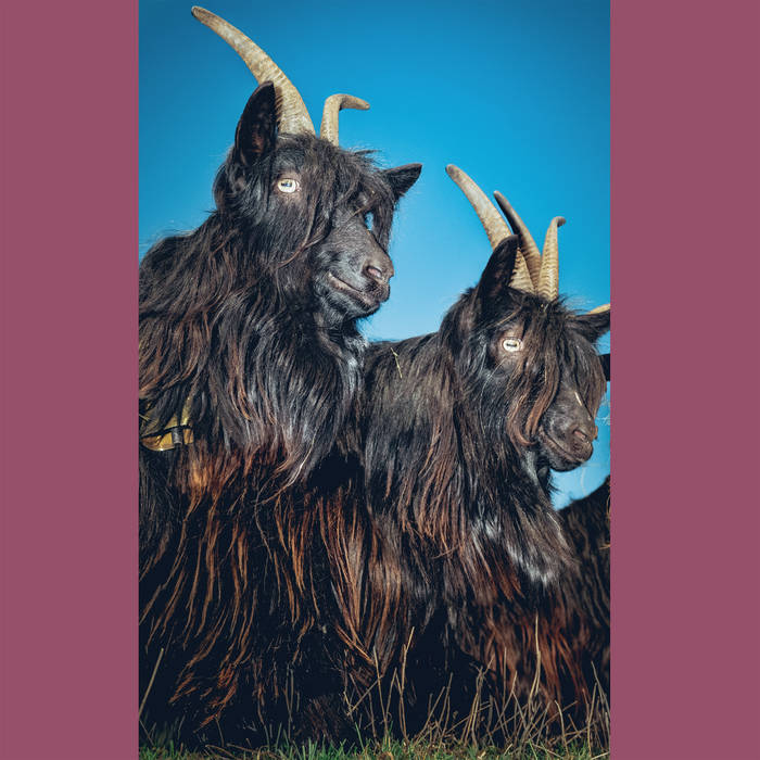 Martina Berther, Philipp Schlotter – Silence Will Never Die (LP) – Soundohm