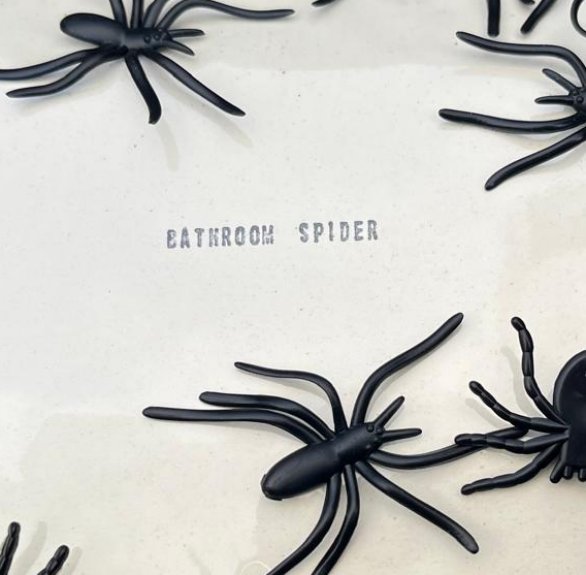 Bathroom Spider – Bathroom Spider (Tape) – Soundohm