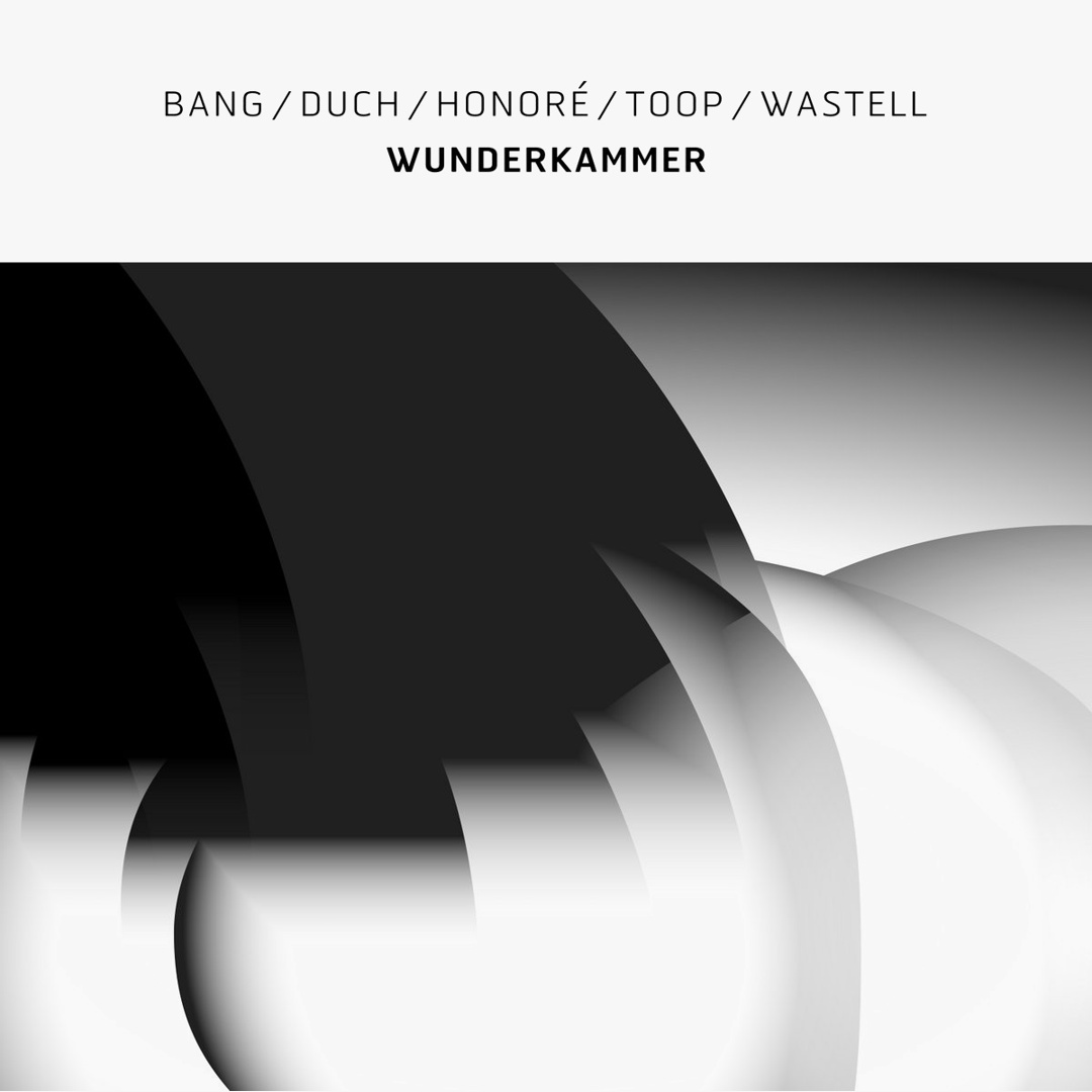 Jan Bang, Michael Francis Duch, Erik Honoré, David Toop, Mark Wastell ...