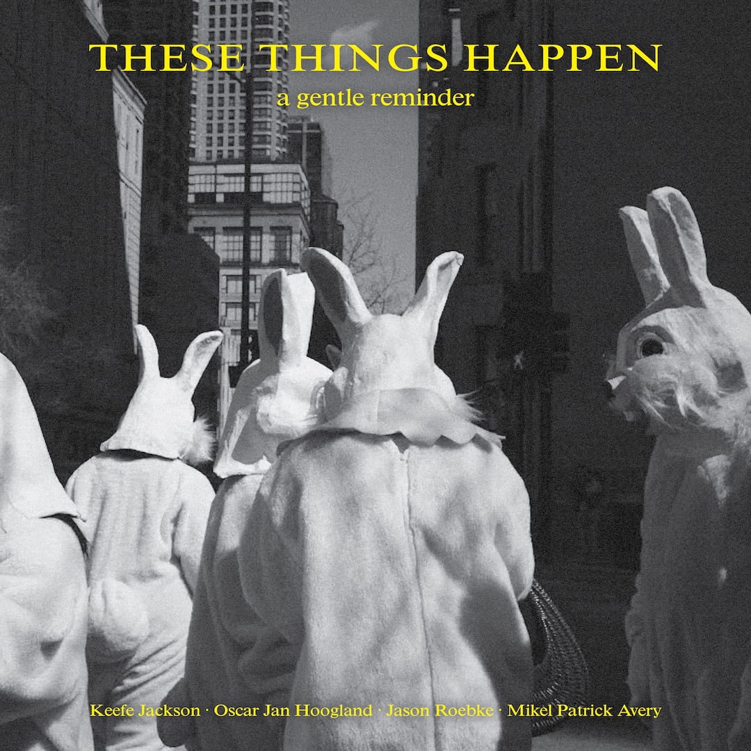 These Things Happen – A Gentle Reminder (LP) – Soundohm